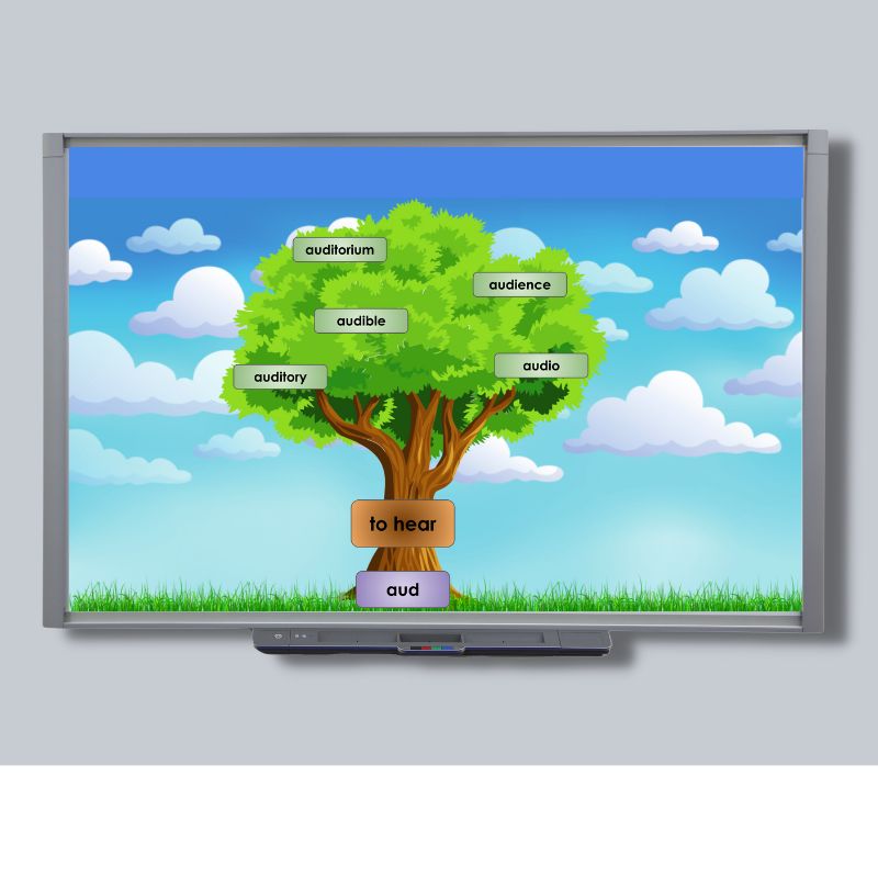 IMSE Customizable Morphology Slide Set - Latin Bases