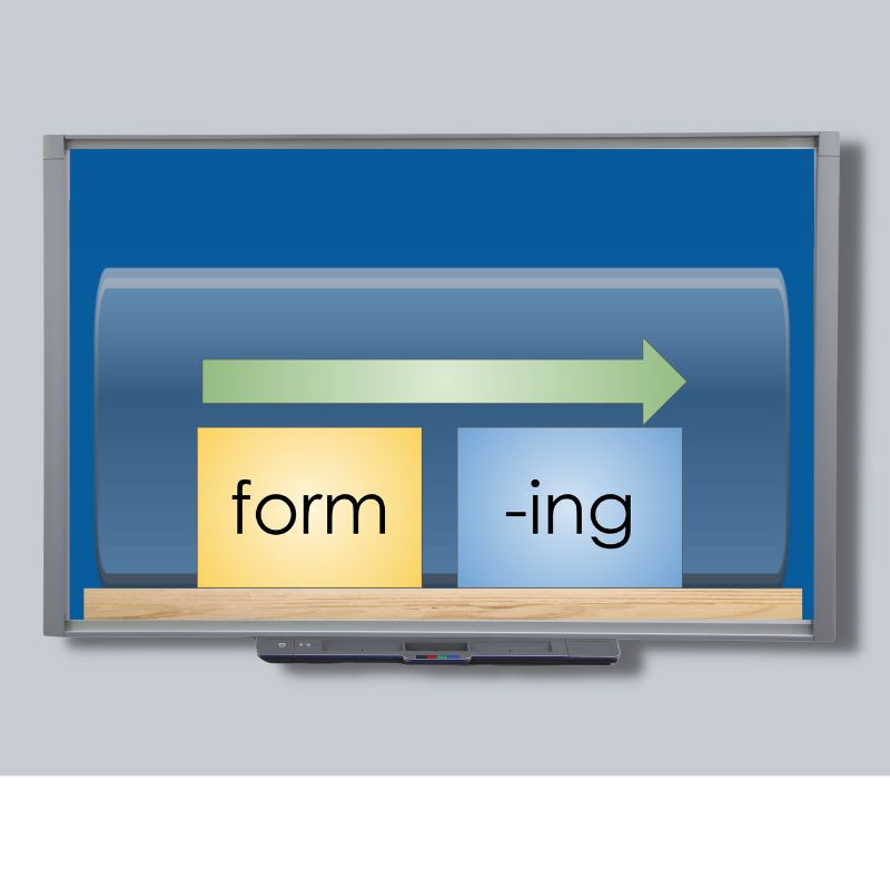 IMSE Customizable Suffix Slide Set