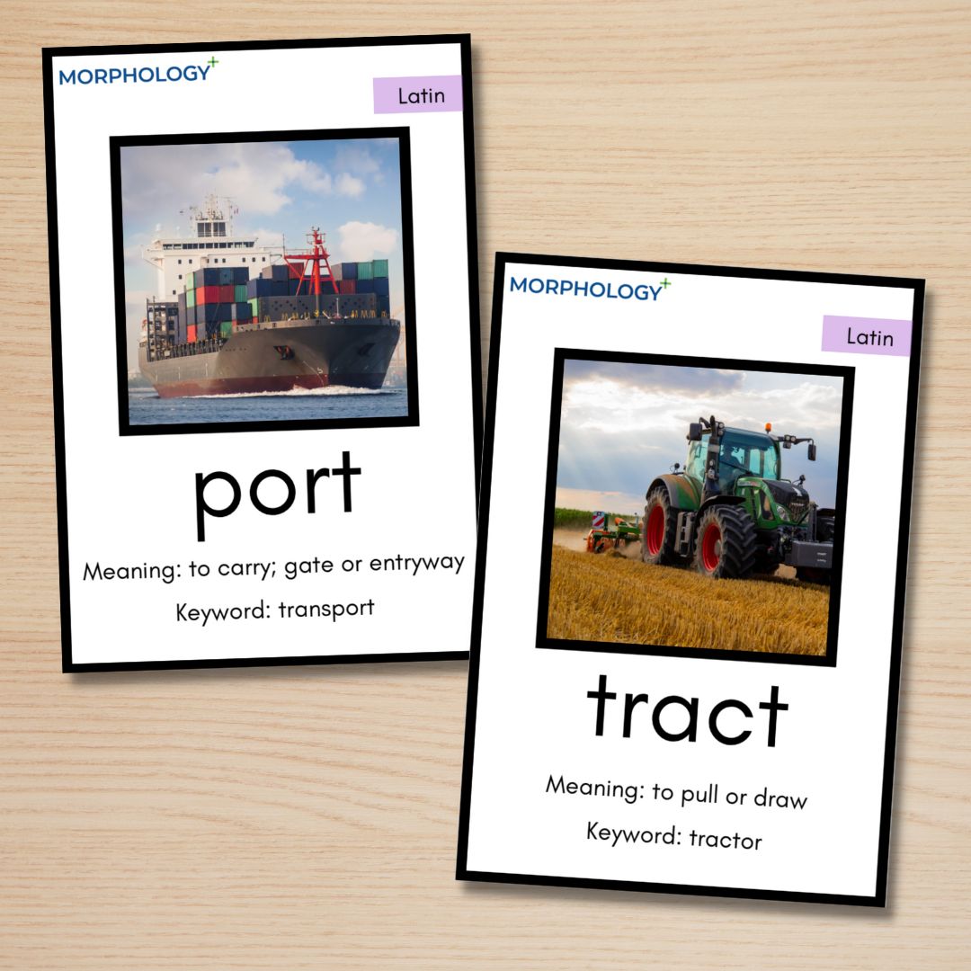 Morphology+ Printable and Digital 4-in-1 Card Pack