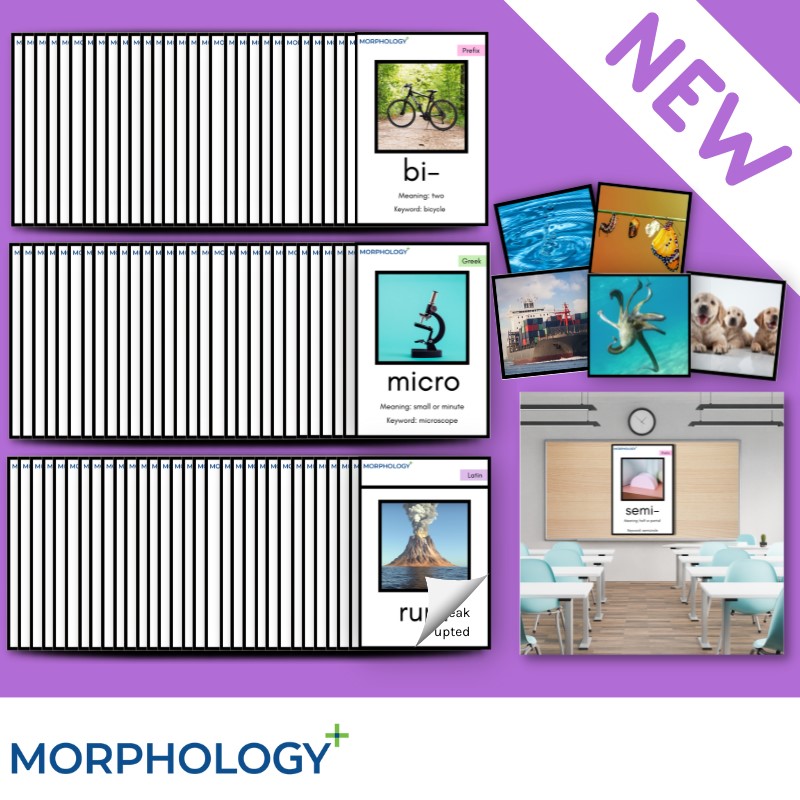 Home / All Products / Morphology+ Printable and Digital 4-in-1 Card Pack